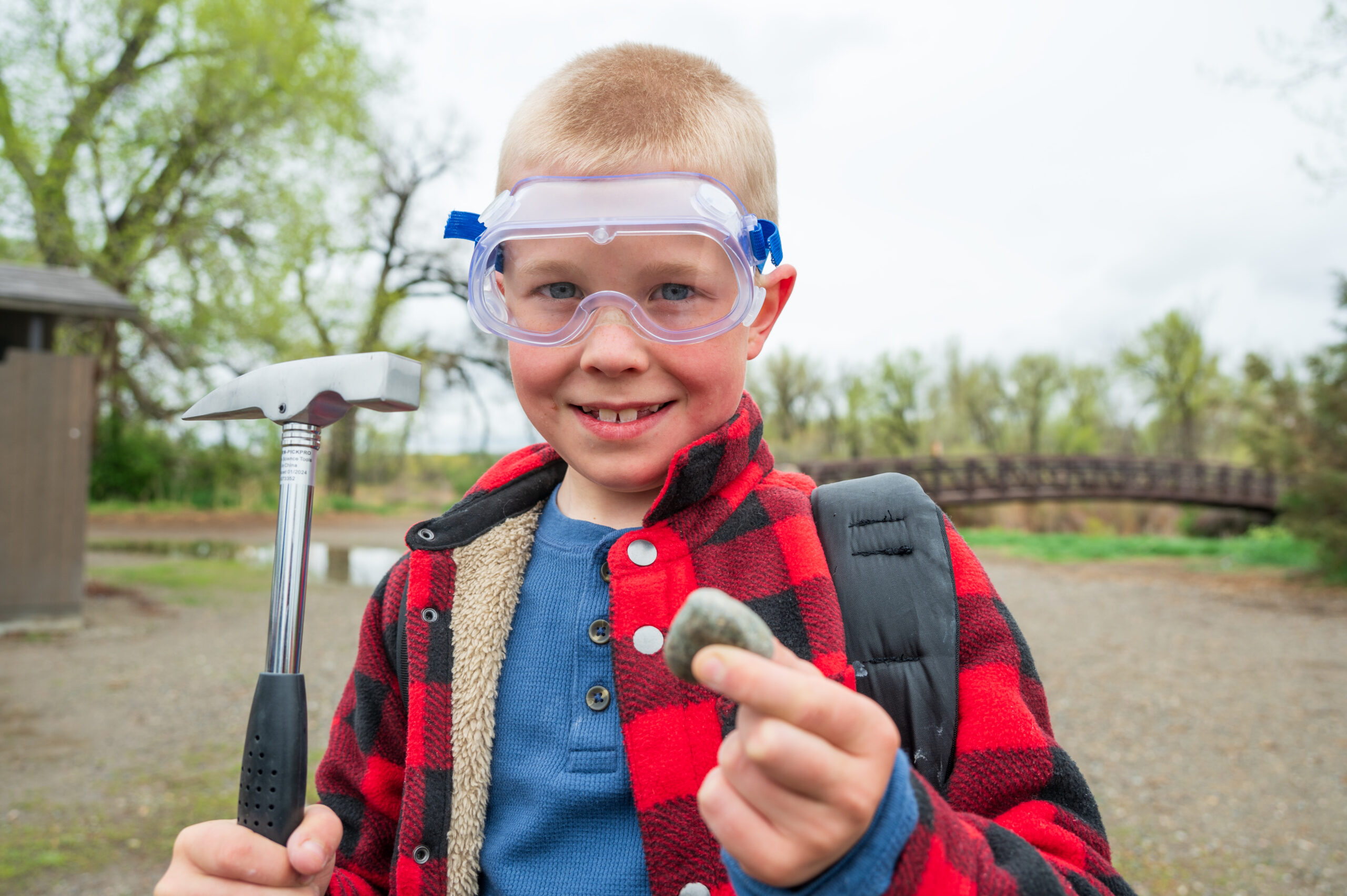 Paleontology Activities for Kids to Try at Home