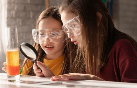 How Vision Works: Eye Science Projects & Experiments | HST