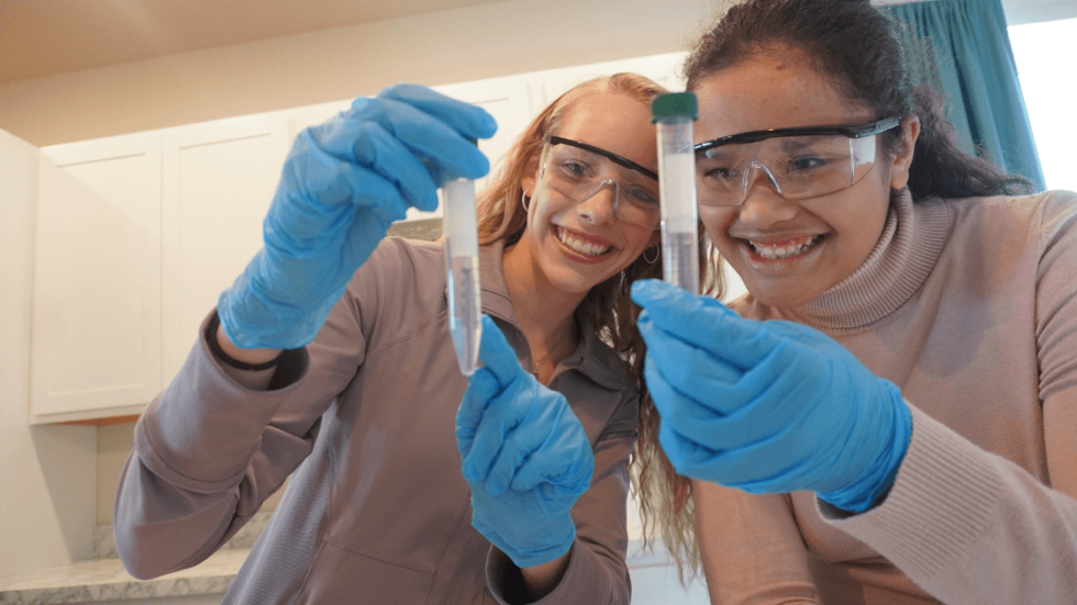 What Makes Up the Backbone of DNA? | Science Lesson & Project