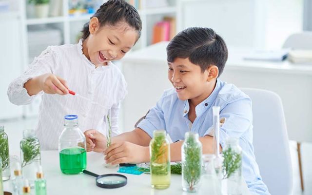 Designing a Science Fair Project with HST | How To | Tips & Tricks