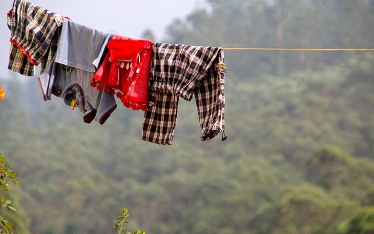 Solar Energy: The Ultimate Power Source - Home Science Tools Resource ...